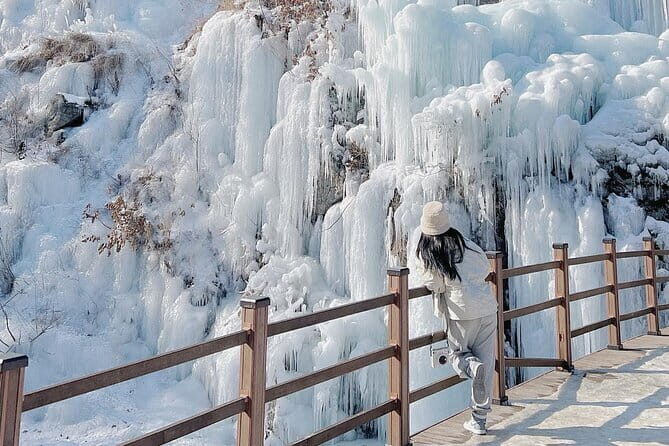 Eobi Ice Valley, Nami Island, Morning Calm and Rail Bike Seoul - Practical Details and Value