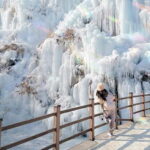 Eobi Ice Valley & Nami (+ Light Festival, Railbike, Alpaca) - Who Will Love This Tour?