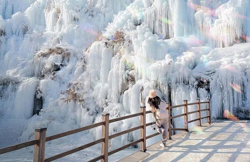 Eobi Ice Valley & Nami (+ Light Festival, Railbike, Alpaca) - Who Will Love This Tour?