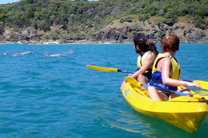 Epic Rainbow Beach Dolphin Kayak and 4WD Adventure Tour - Who Will Love This Tour?