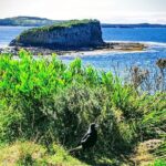 Erupting Blowholes and Ancient Rainforests SOUTH COAST OF SYDNEY PRIVATE TOUR - The Practical Details: What This Tour Means for You