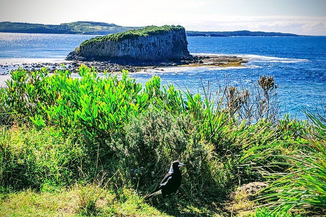 Erupting Blowholes and Ancient Rainforests SOUTH COAST OF SYDNEY PRIVATE TOUR - The Practical Details: What This Tour Means for You