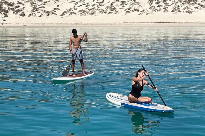 Espiritu Santo and Sealion Swimming aboard a luxury yacht - What Travelers Say