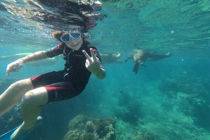 Espíritu Santo Island snorkel and sightseeing tour on Small Group - What Sets This Tour Apart?