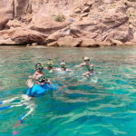 Espiritu Santo Island: Snorkeling Sea Lion Adventure - What to Expect and What to Bring