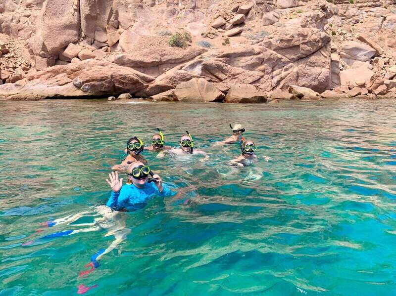 Espiritu Santo Island: Snorkeling Sea Lion Adventure - What to Expect and What to Bring