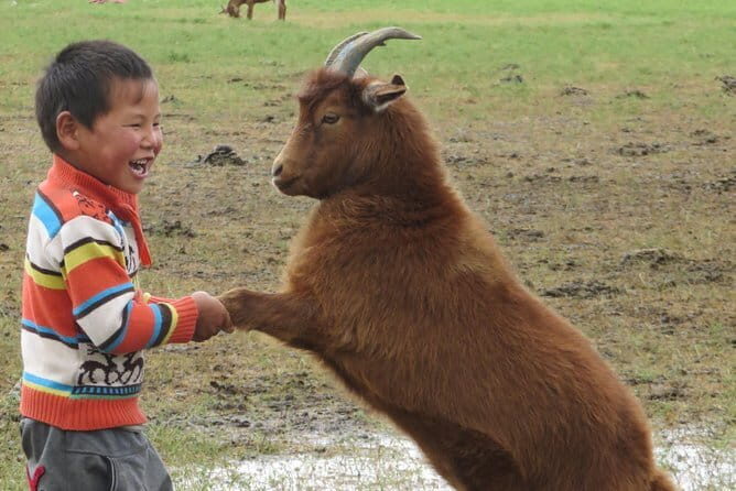 Essence of Mongolia 5 Days - Analyzing the Value