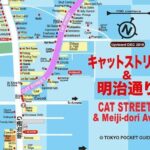 Essential tour for fashion and art in Tokyo for 6 hours with local lunch - The Experience & Its Reviews