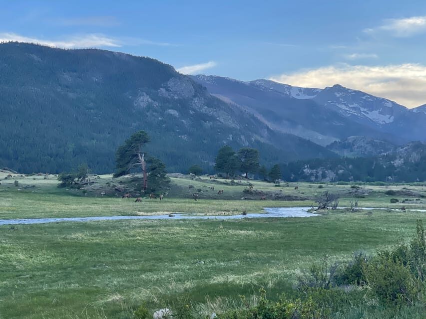 Estes Park: Guided Elk Rut Tour - Who Will Love This Tour?