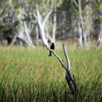 ETHICAL ADVENTURES - 1 Day premium Litchfield tour, Max 10 guests - Final Thoughts