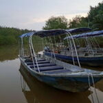Evening Excursion to Batu Caves and Fireflies Watching Tour - Encountering Wildlife at Kuala Selangor Nature Park