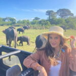 Evening Safari at Minneriya National park with Hotel Pickup - Who Will Love This Tour?