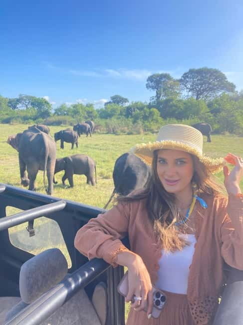 Evening Safari at Minneriya National park with Hotel Pickup - Who Will Love This Tour?