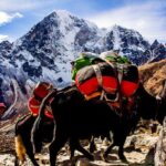 "Everest Base Camp Trek  12Day Guided Adventure in the Himalayas - Value and Considerations