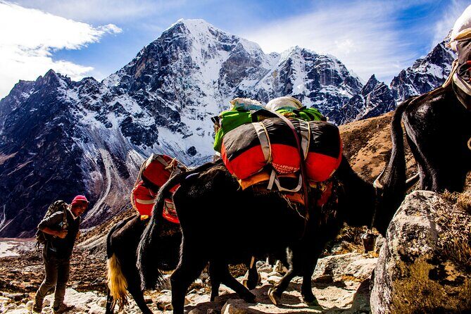 "Everest Base Camp Trek  12Day Guided Adventure in the Himalayas - Value and Considerations