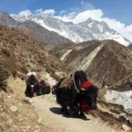 Everest Base Camp Trek - Who Will Love This Trek?