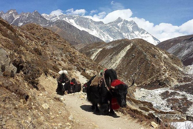 Everest Base Camp Trek - Who Will Love This Trek?