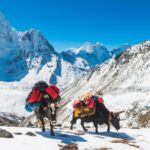 Everest Base Camp Trek with Gokyo Lakes - 16-Day Adventure - What’s Included and What’s Not? The Value Breakdown