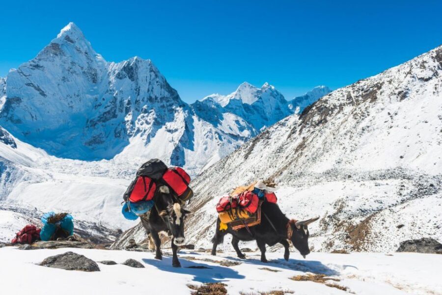 Everest Base Camp Trek with Gokyo Lakes - 16-Day Adventure - What’s Included and What’s Not? The Value Breakdown
