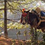 Everest View Trek- 8Days - What Could Be a Drawback