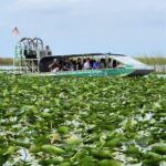 Everglades Alligator Airboat Tour with Bus transfer from Miami - The Itinerary in Detail