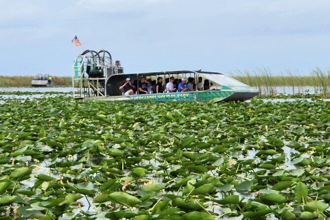 Everglades Alligator Airboat Tour with Bus transfer from Miami - The Itinerary in Detail