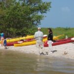 Everglades: Boat Assisted Kayak Eco Tour - Why Choose This Tour?