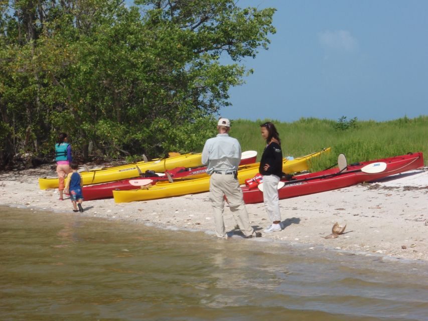 Everglades: Boat Assisted Kayak Eco Tour - Why Choose This Tour?