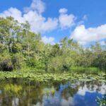 Everglades Eco Airboat Tour small group & top transportation - What You Can Expect Each Step