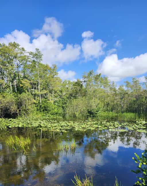 Everglades Eco Airboat Tour small group & top transportation - What You Can Expect Each Step