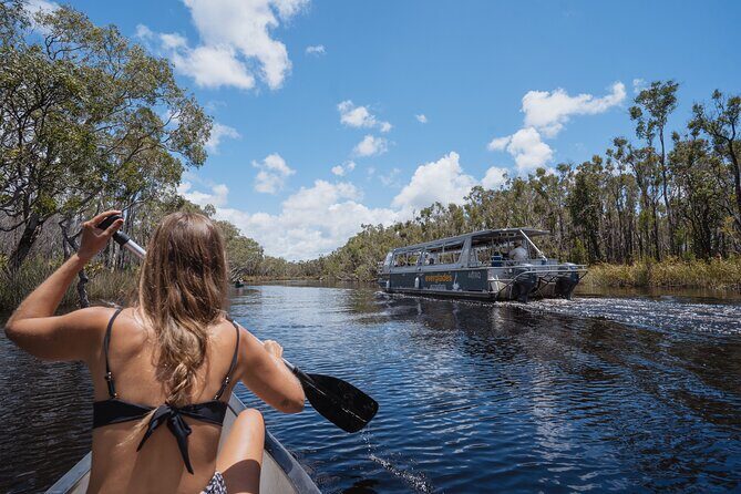 Everglades Explorer - Noosa Everglades Tour - The Main Attractions: Boat and Canoe Experiences