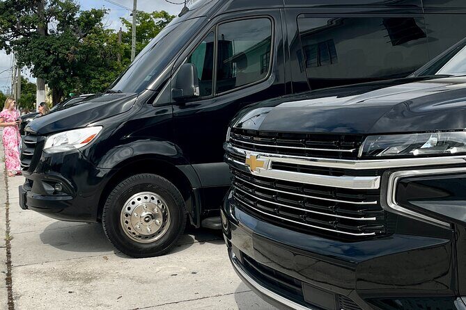 Everglades Park From Fort Lauderdale Round-trip Transportation - What to Expect During the Experience