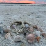 Everglades Pirate and Beach Adventure - What’s Included and What’s Not