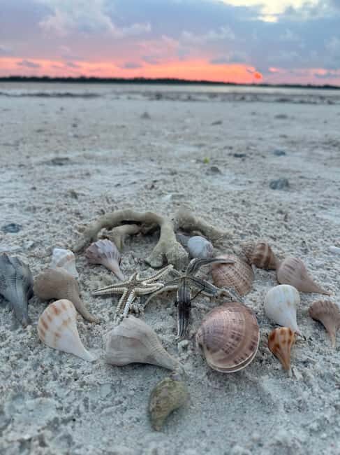 Everglades Pirate and Beach Adventure - What’s Included and What’s Not