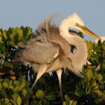 Everglades Small Group Guided Boating & Walking Tour Expedition - Who Will Love This Tour?