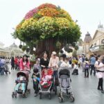 Everland Amusement Park with free-ride Ticket - A Closer Look at the Tour Experience