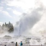 Ex Auckland: TE PUIA Geothermal, Redwood & Blue Springs - What Sets This Tour Apart?