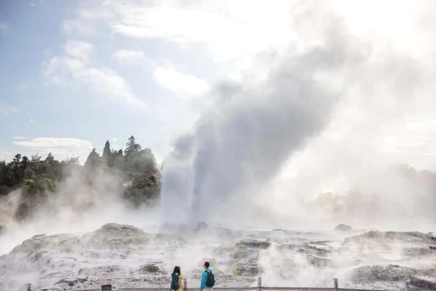 Ex Auckland: TE PUIA Geothermal, Redwood & Blue Springs - What Sets This Tour Apart?