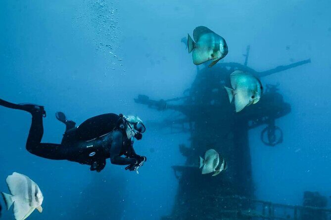 Ex- HMAS Swan Wreck Double Boat Dive - The Value of This Wreck Dive
