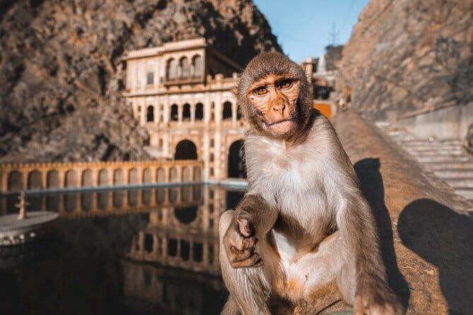 Ex-Jaipur: Highlights of Jaipur - Private Guided Tour by Car - Real Traveler Insights