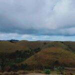 Excellent day tour Nusa penida - The Experience: What Sets It Apart (and What to Keep in Mind)