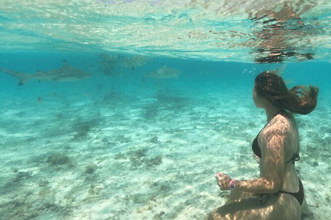 Exceptional Half Day on the Bora Bora Lagoon in Combo - First Stop: Coral Garden
