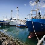 Exceptional Port Lincoln, Seafood and Wildlife Tour - Who Will Appreciate This Tour?