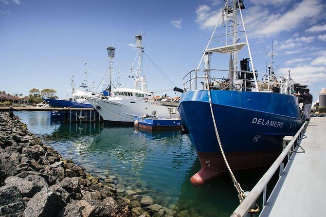 Exceptional Port Lincoln, Seafood and Wildlife Tour - Who Will Appreciate This Tour?