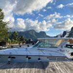 Exceptional whale watching in a Tahiti Yacht - FAQ