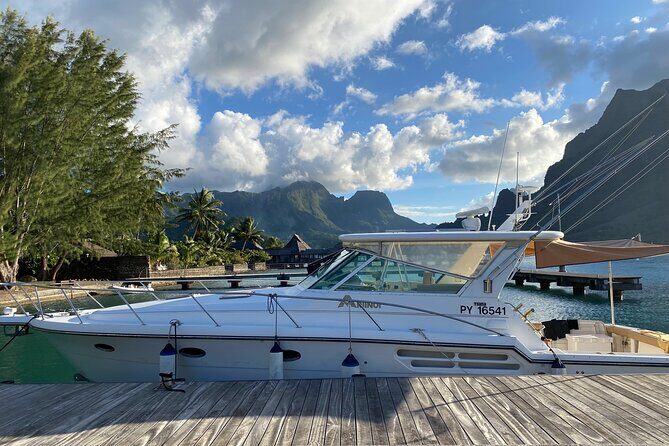 Exceptional whale watching in a Tahiti Yacht - FAQ