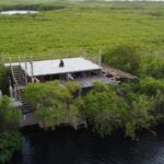 Exclusive dining experience next to a cenote in Tulum - Who Will Enjoy This Experience?