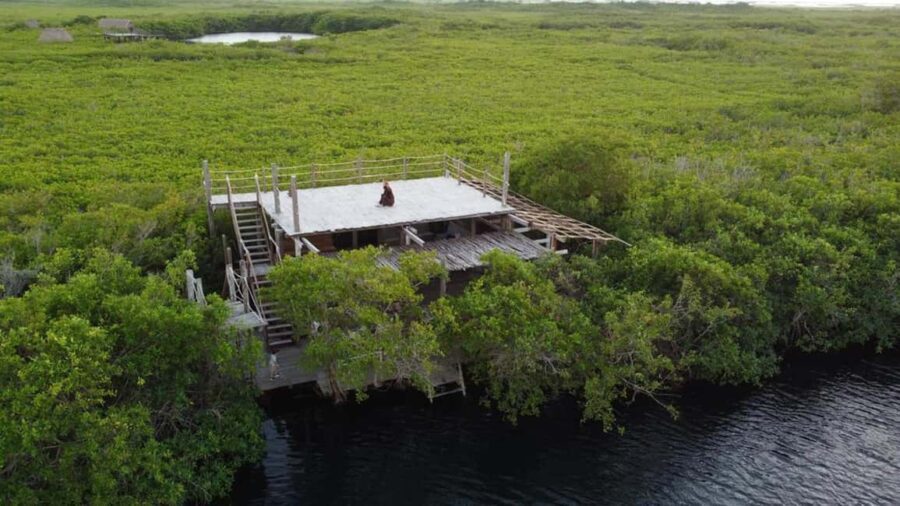 Exclusive dining experience next to a cenote in Tulum - Who Will Enjoy This Experience?