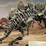 Exclusive Drumheller Private Tour from Calgary - The Dinosaur Highlight: Royal Tyrrell Museum