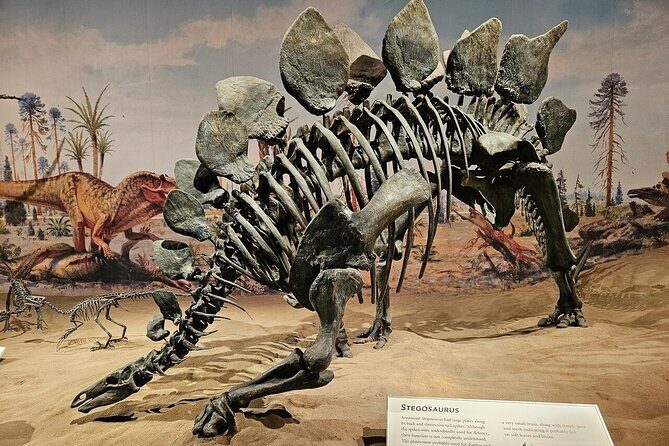 Exclusive Drumheller Private Tour from Calgary - The Dinosaur Highlight: Royal Tyrrell Museum